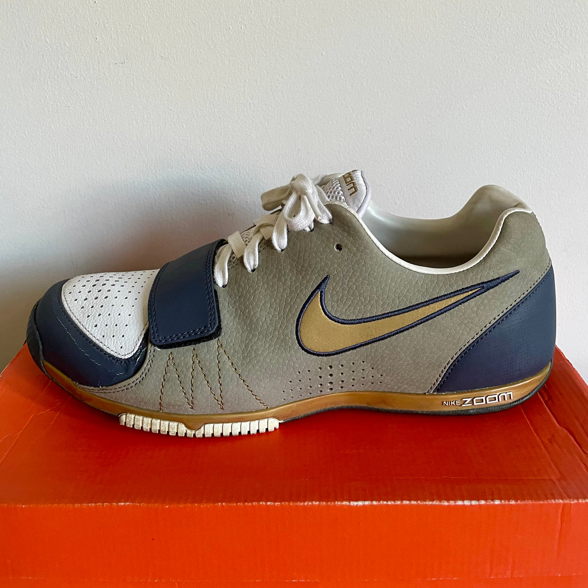 2007 Nike Zoom TR – Eclectic Heat